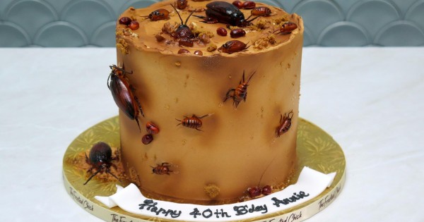 Cockroach Cake