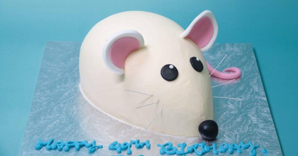 Mouse Cake